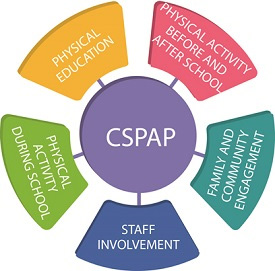 Comprehensive Physical Activity | pe top 5
